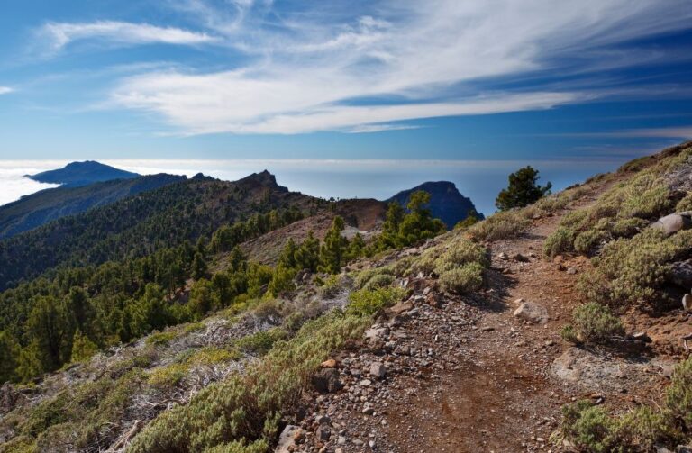 RUTA DE LA CRESTERÍA LA PALMA